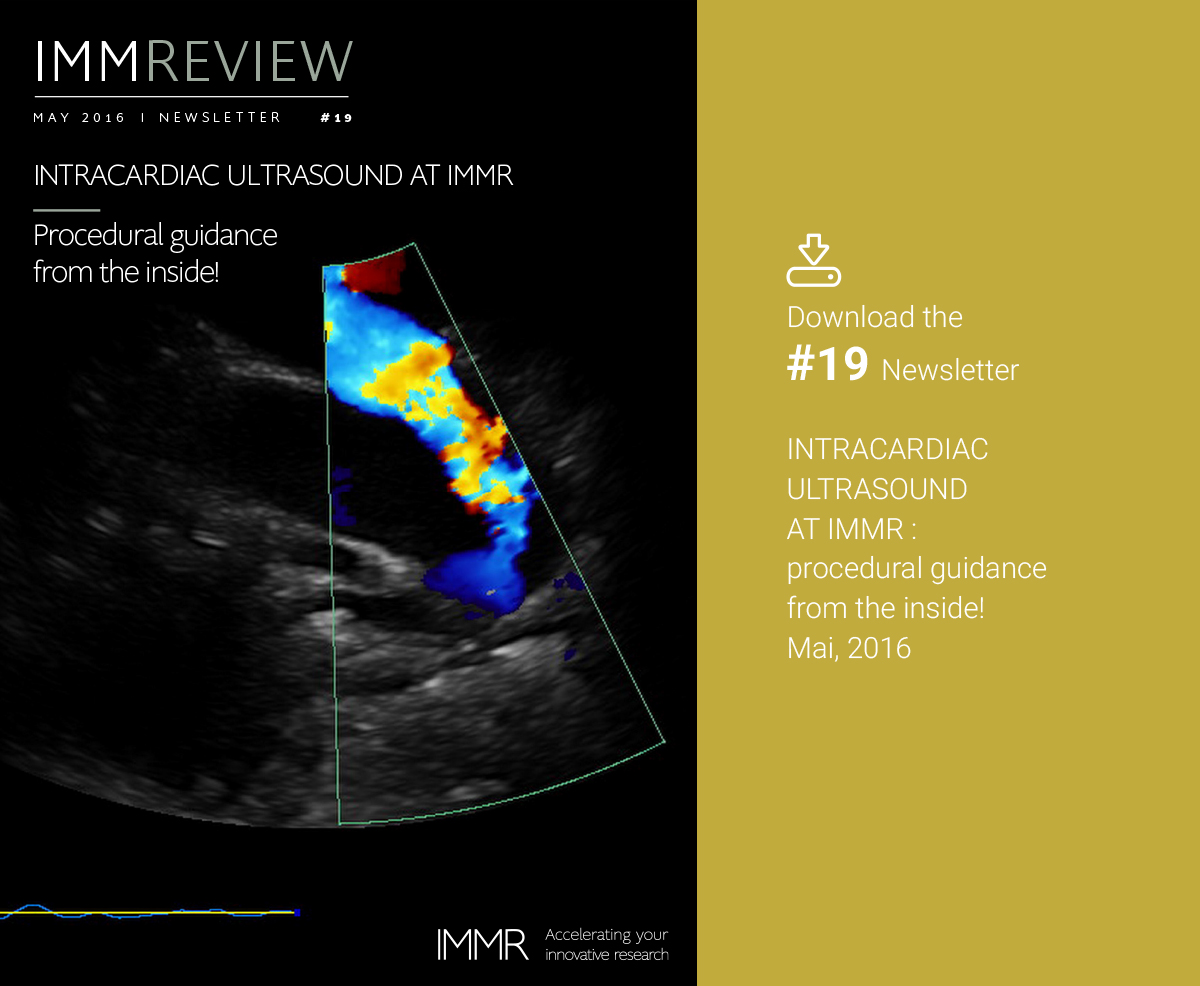 Nos newsletters | IMMR