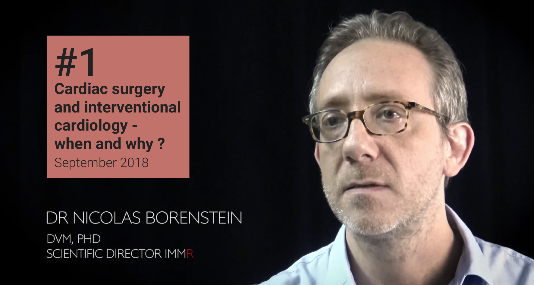 Publications by our experts - IMMR