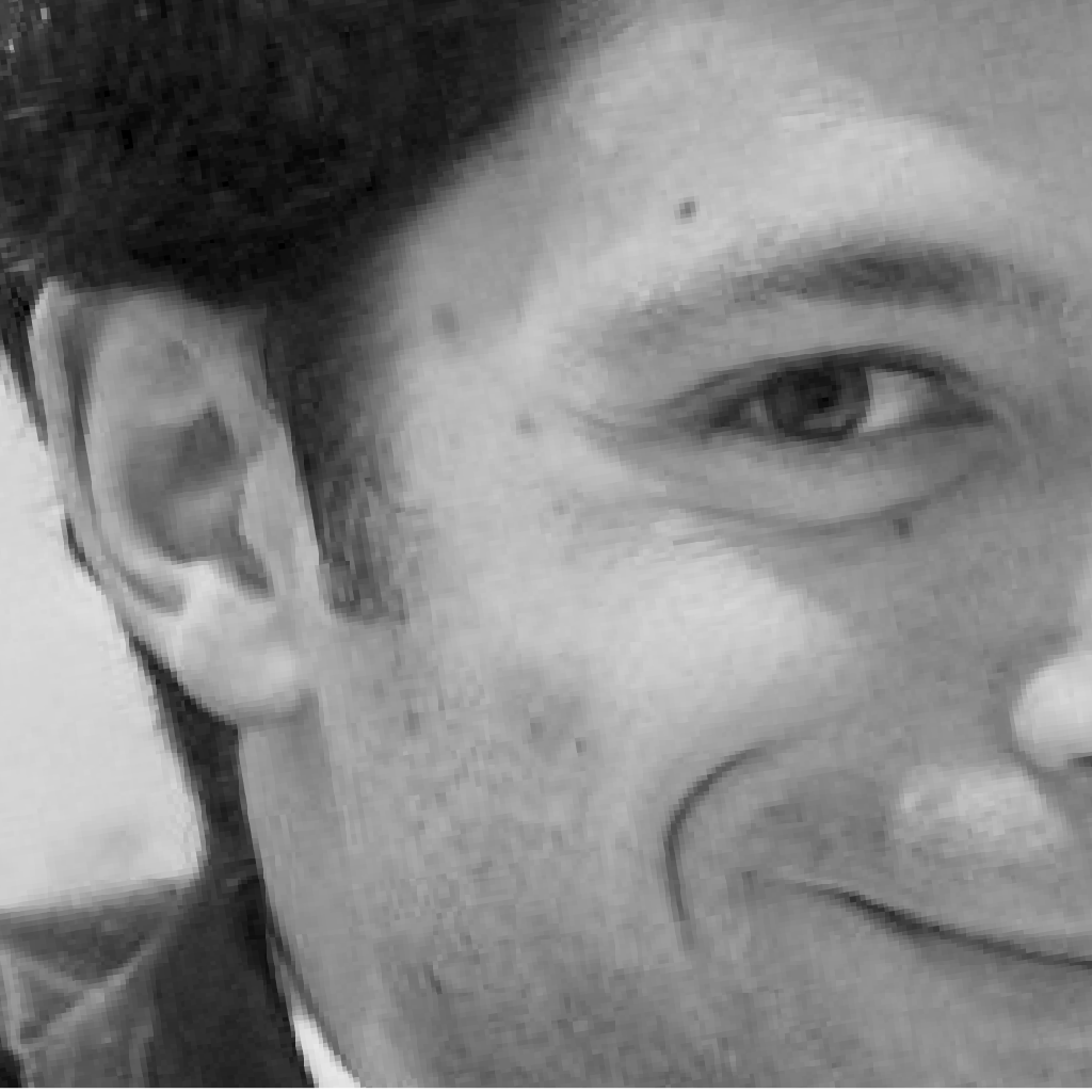 我们是谁 | 符合良好实验室规范-生物医学研究 | IMMR