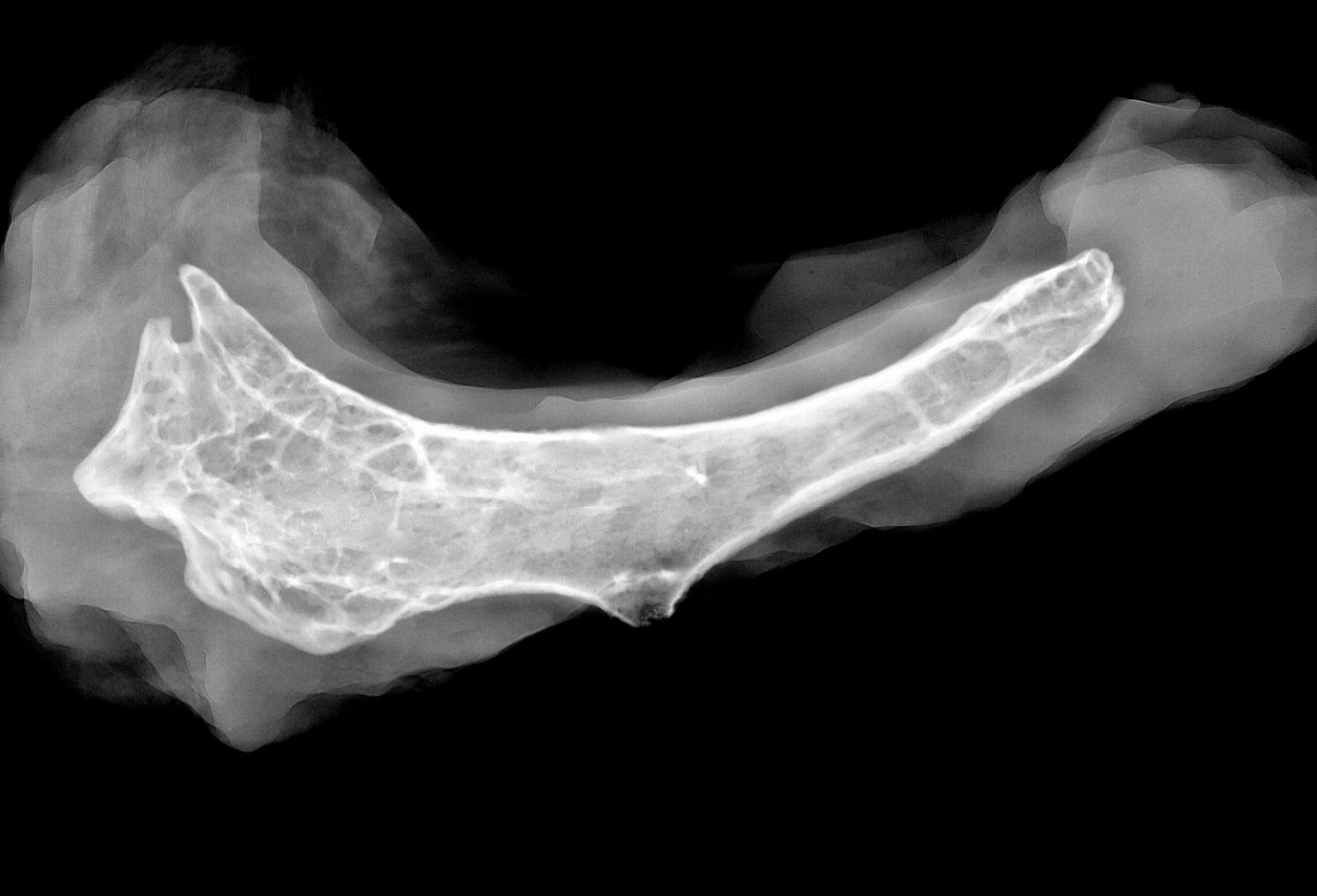 week of 20201006 - IMMR